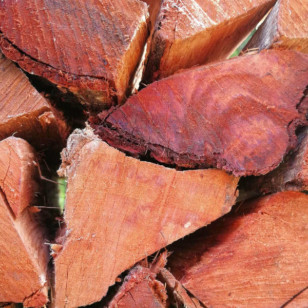 Black Wattle Wood Bulk | Semi-Seasoned | 200 Pieces or more