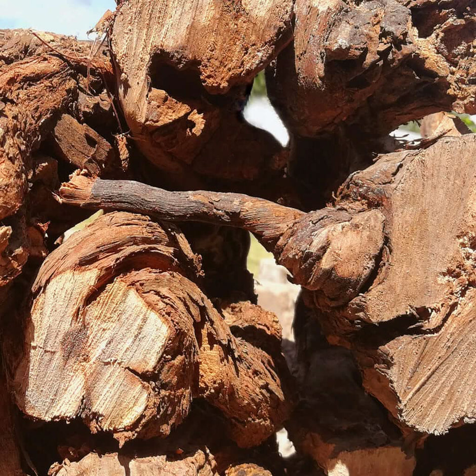 Best Firewood Cape Town | Free Delivery & Stacking
